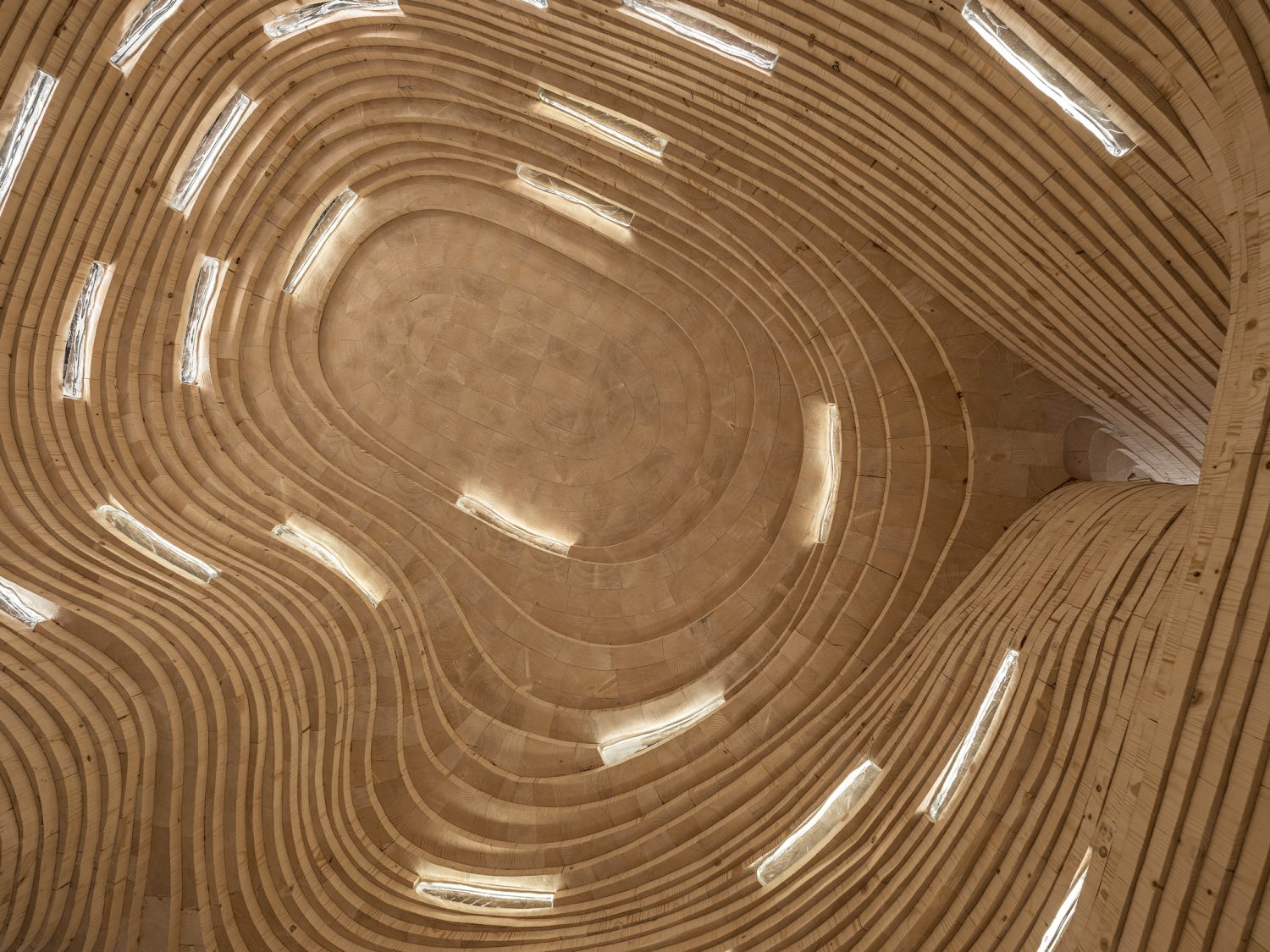 Future Library | Katie Paterson